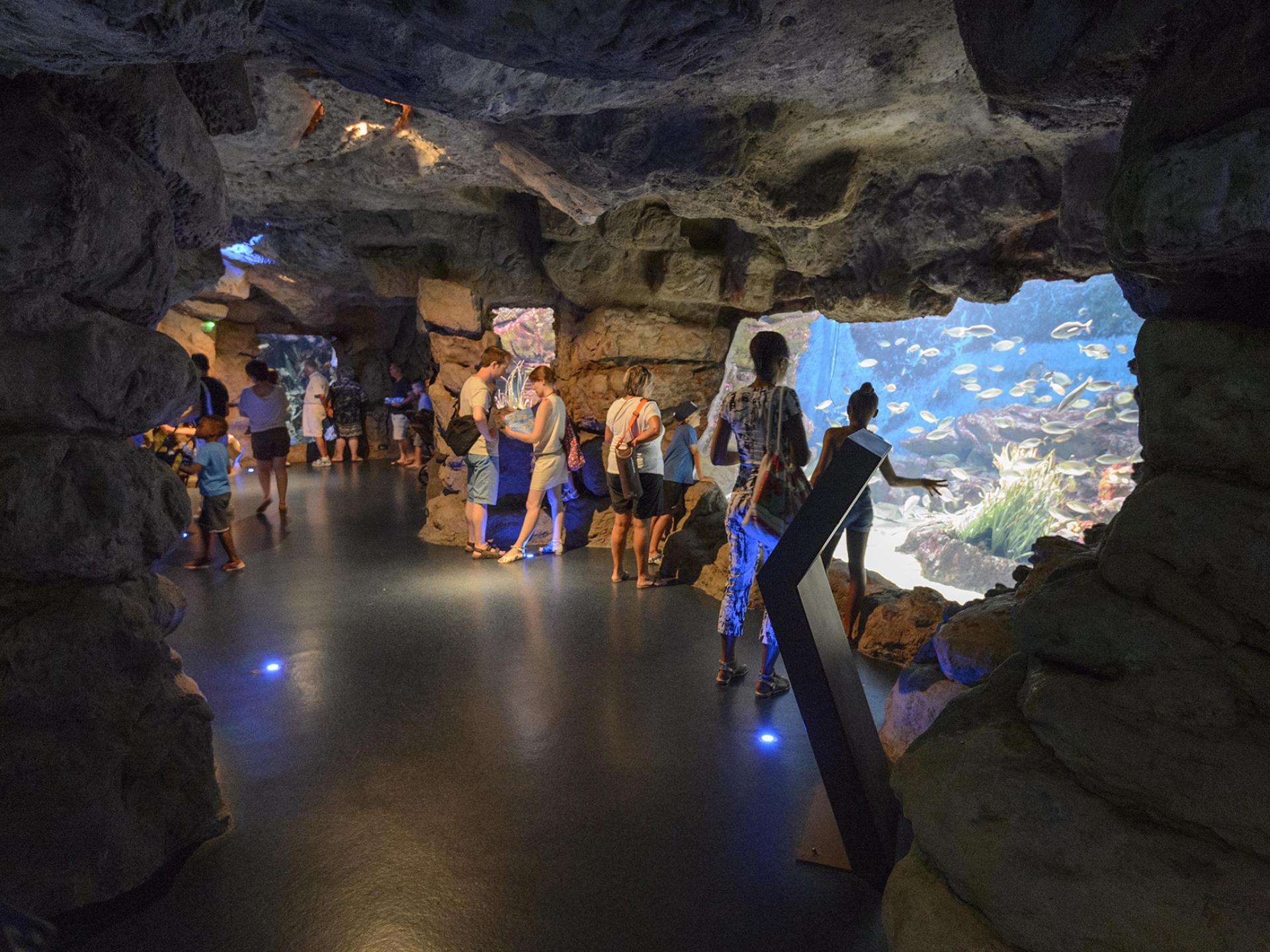 Leisure and activities | Montpellier Tourism