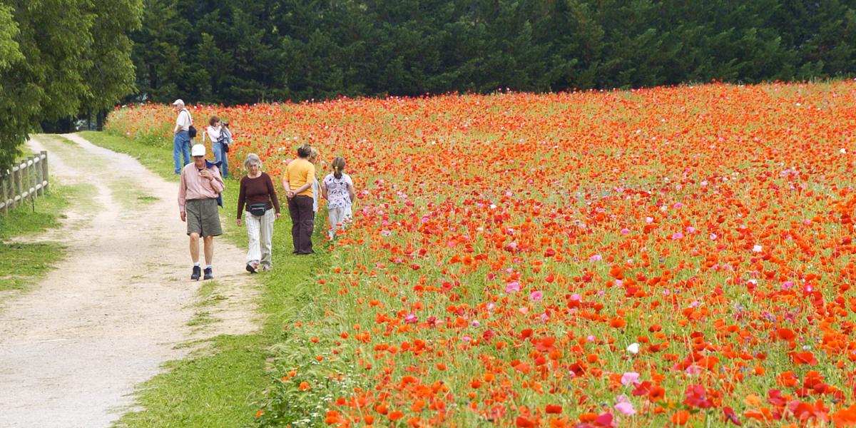 Domaine de Méric | Montpellier Tourisme