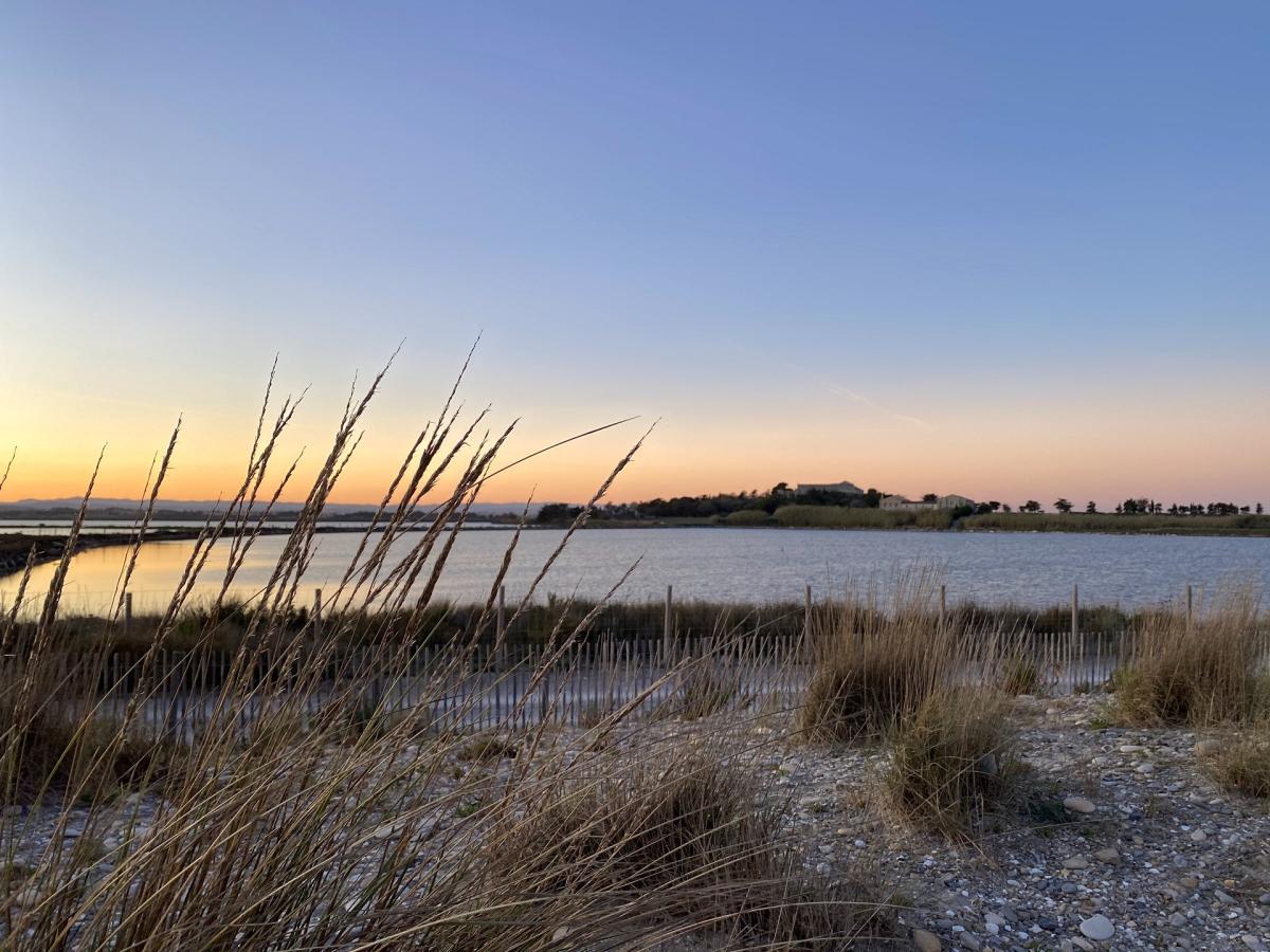 EN LA NATURALEZA | Montpellier Turismo