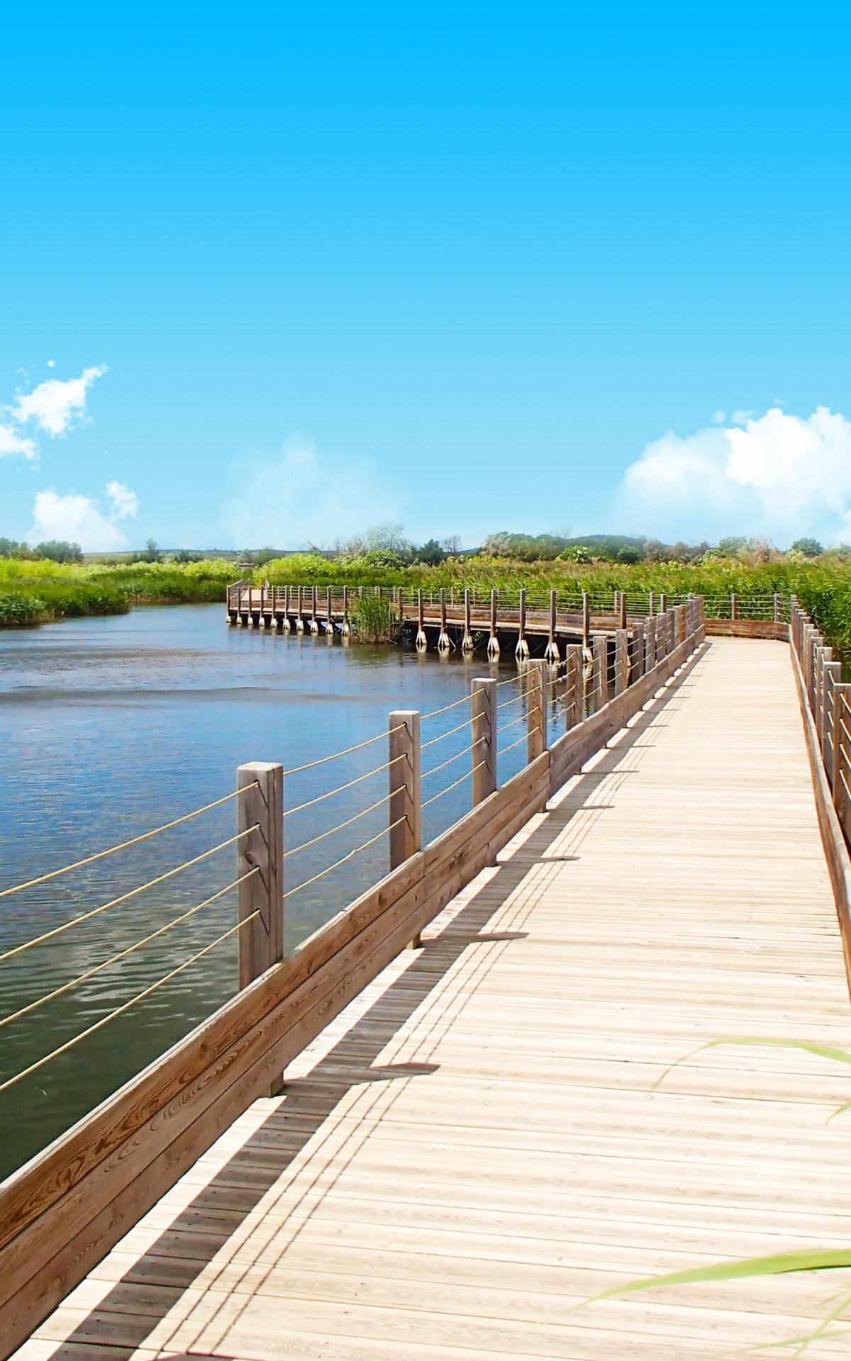 Le site naturel du Méjean : bienvenue chez Dame Nature | Montpellier ...