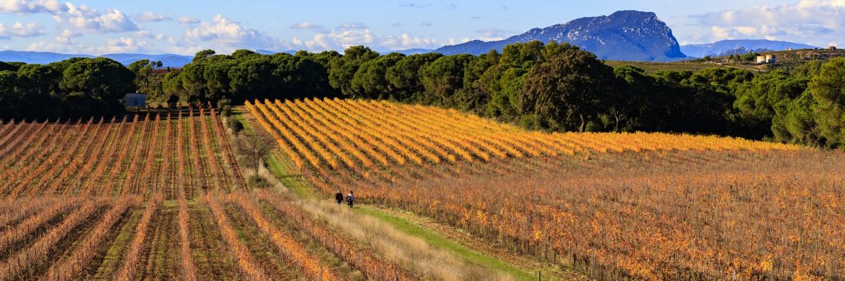 Au cœur de la nature | Montpellier Tourisme