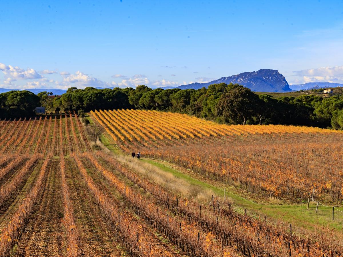 Deep in nature | Montpellier Tourism