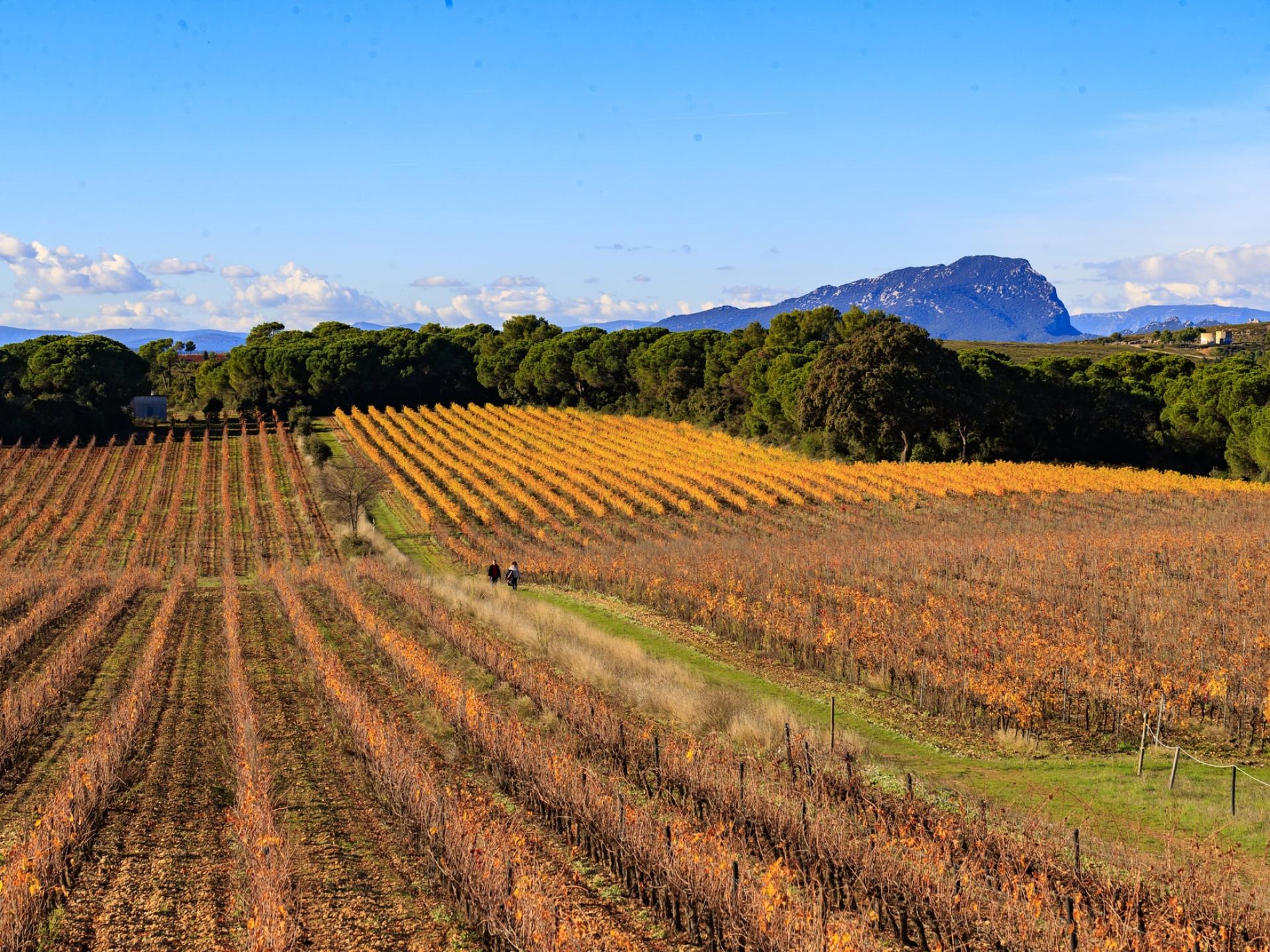 Deep in nature | Montpellier Tourism