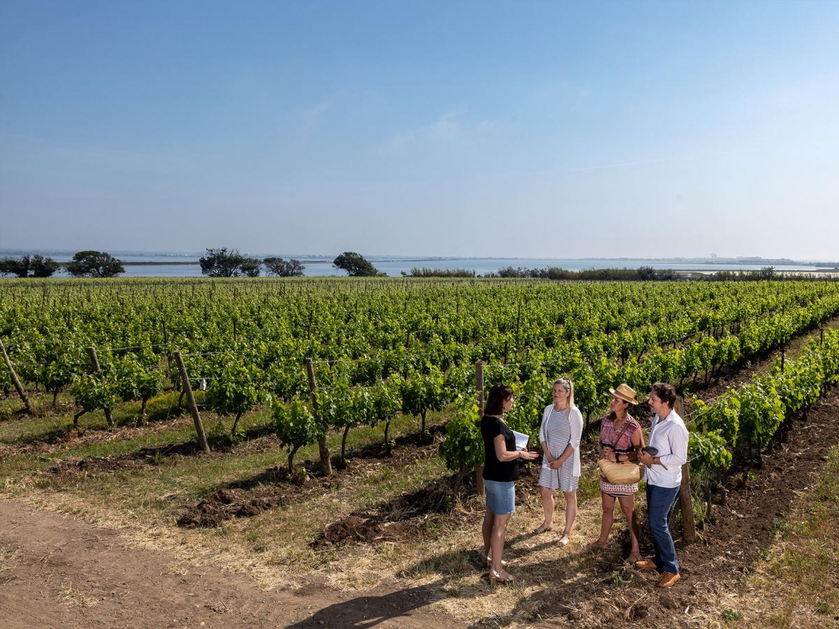 Villeneuve-lès-Maguelone | Montpellier Tourisme