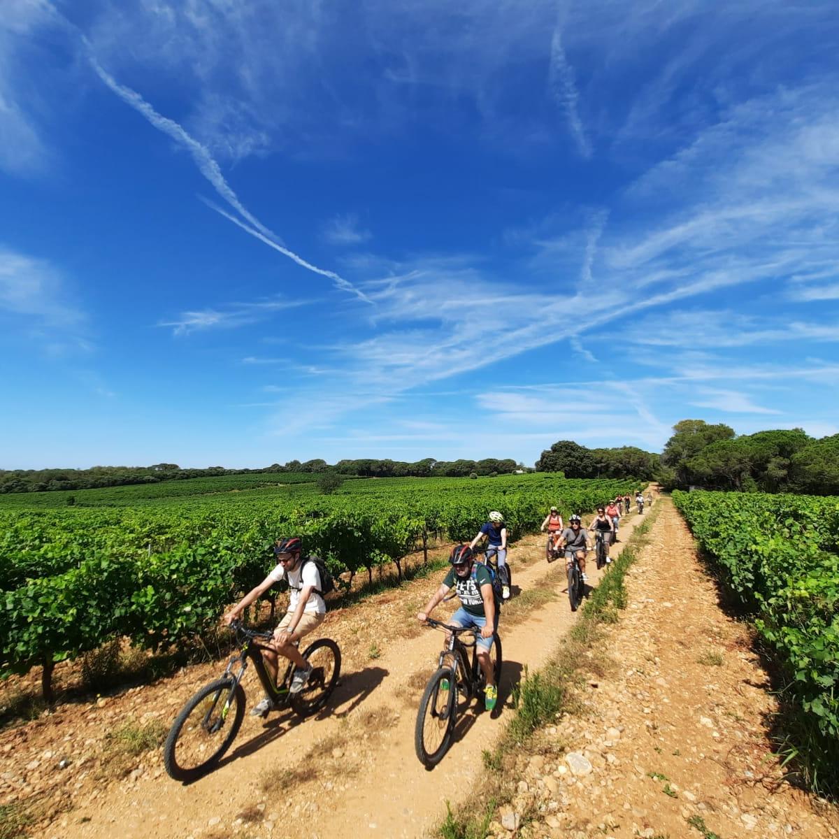 Book your activities | Montpellier Tourism