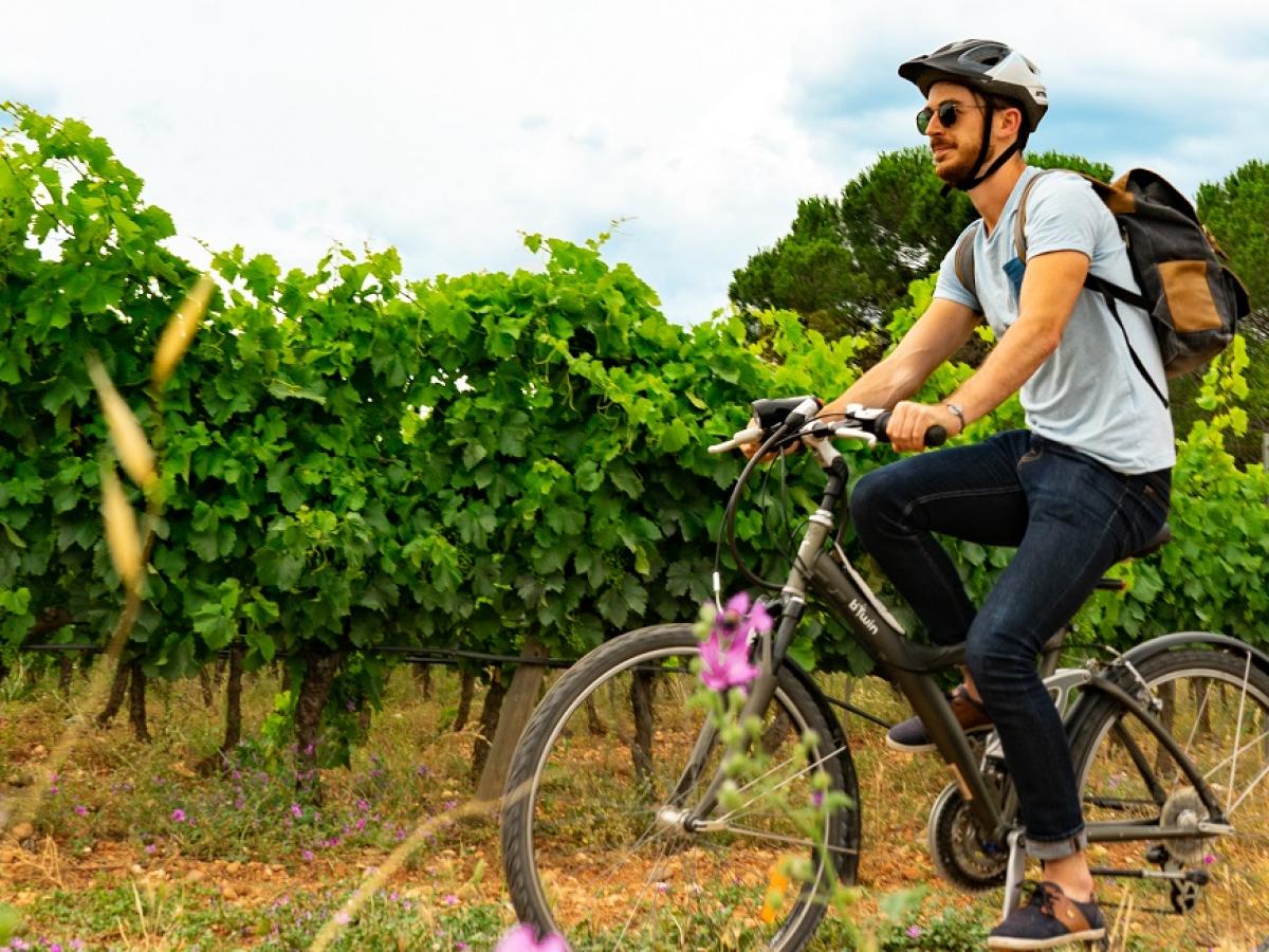 Wine tourism and vineyards | Montpellier Tourism