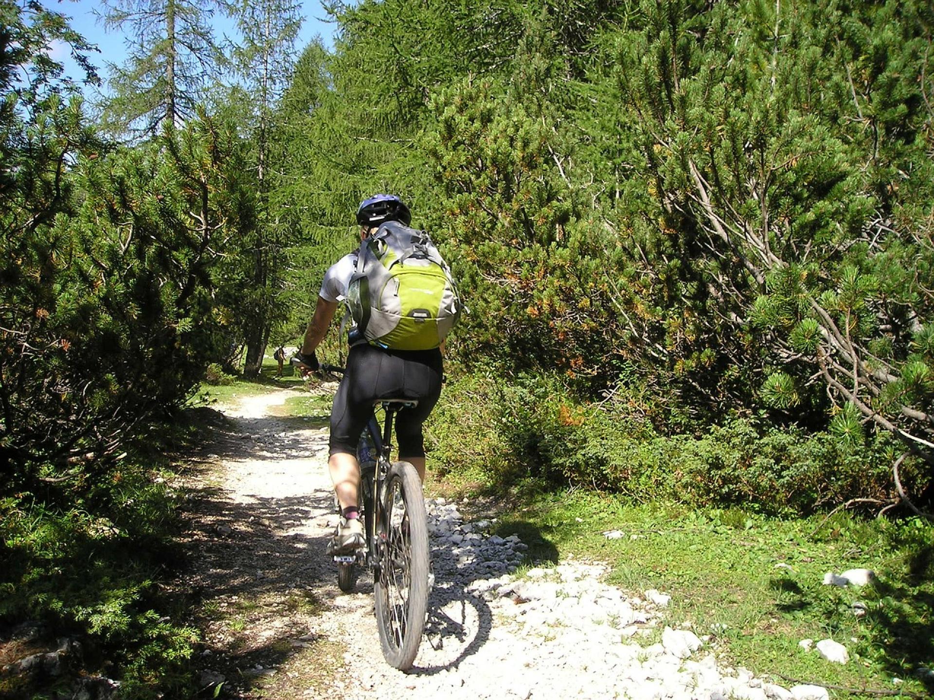 Montpellier by bike | Montpellier Tourism