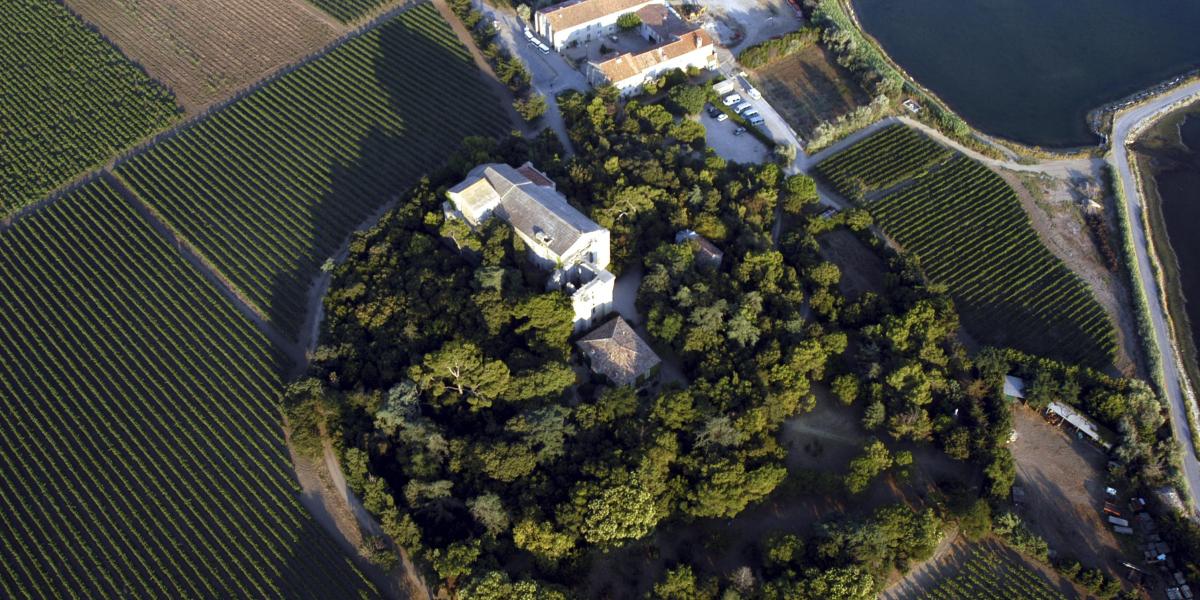 Montpellier surrounded by nature | Montpellier Tourism