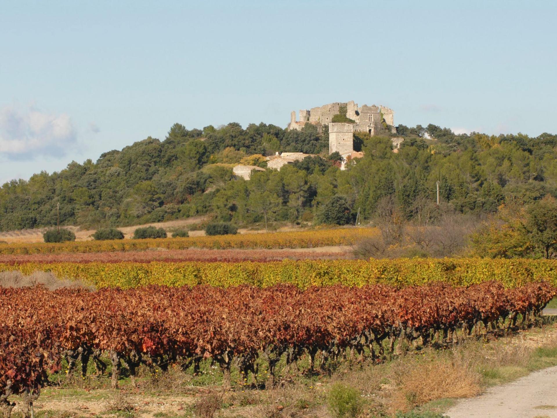 Montaud | Montpellier Tourisme