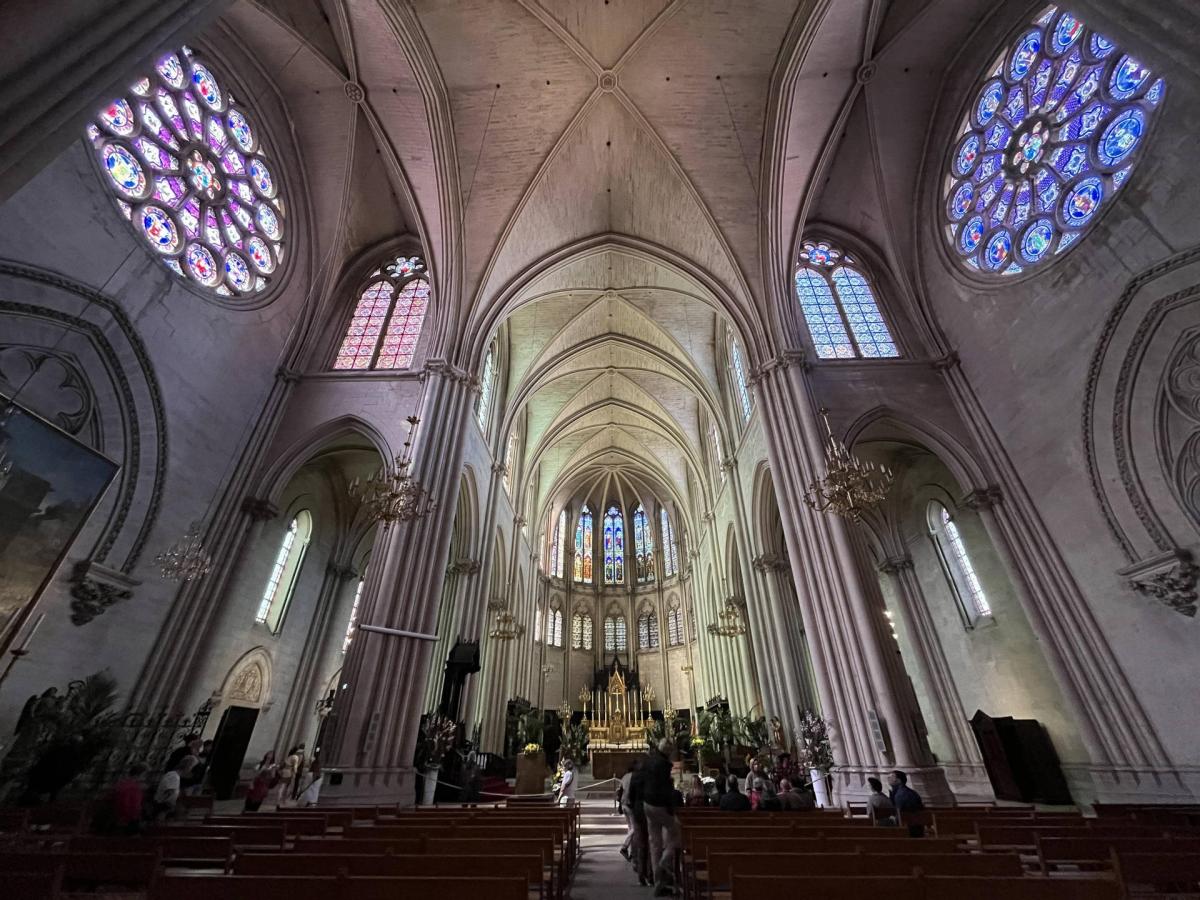 La Cathédrale Saint-Pierre | Montpellier Tourisme