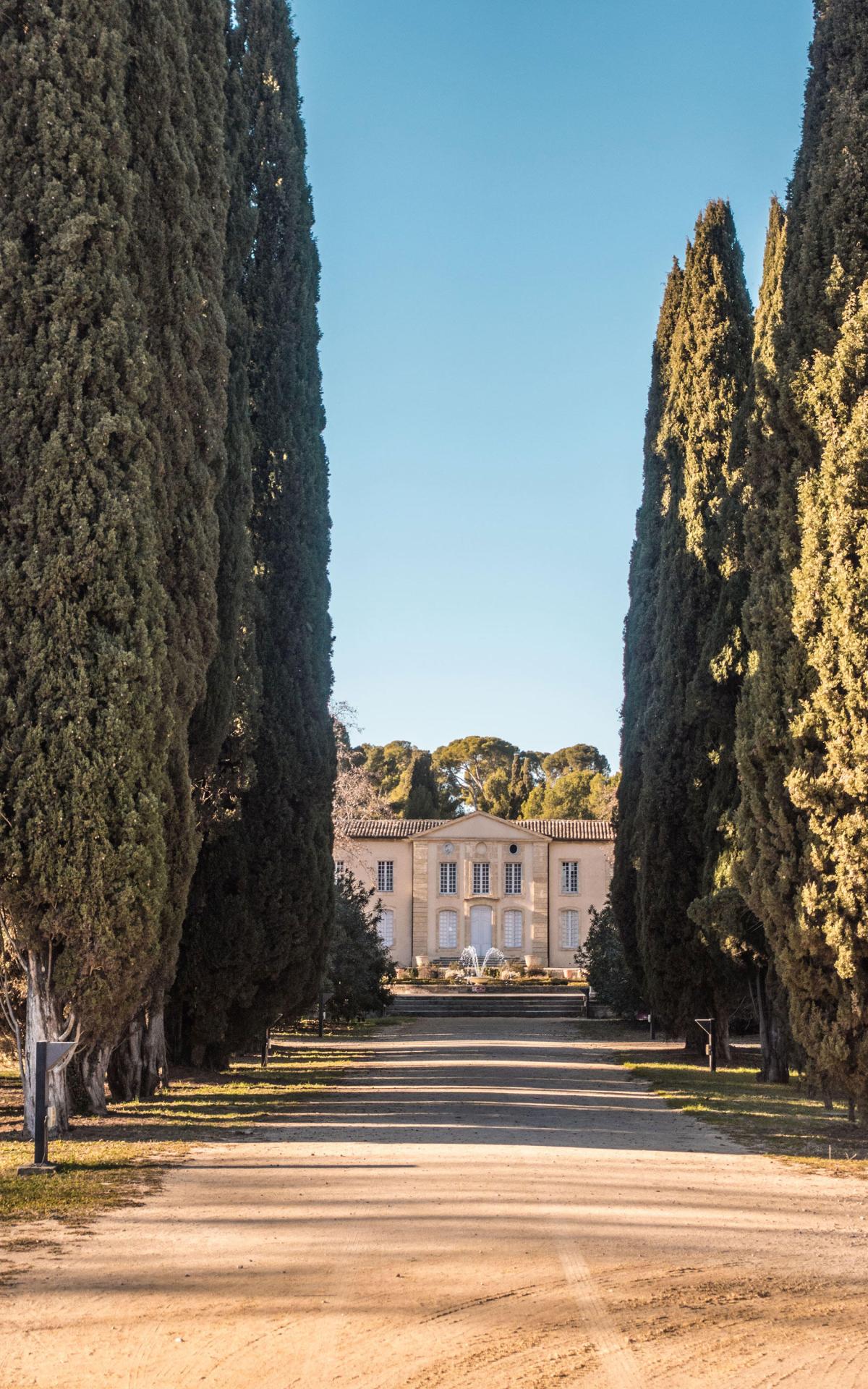 Château du Domaine d’O | Montpellier Tourisme