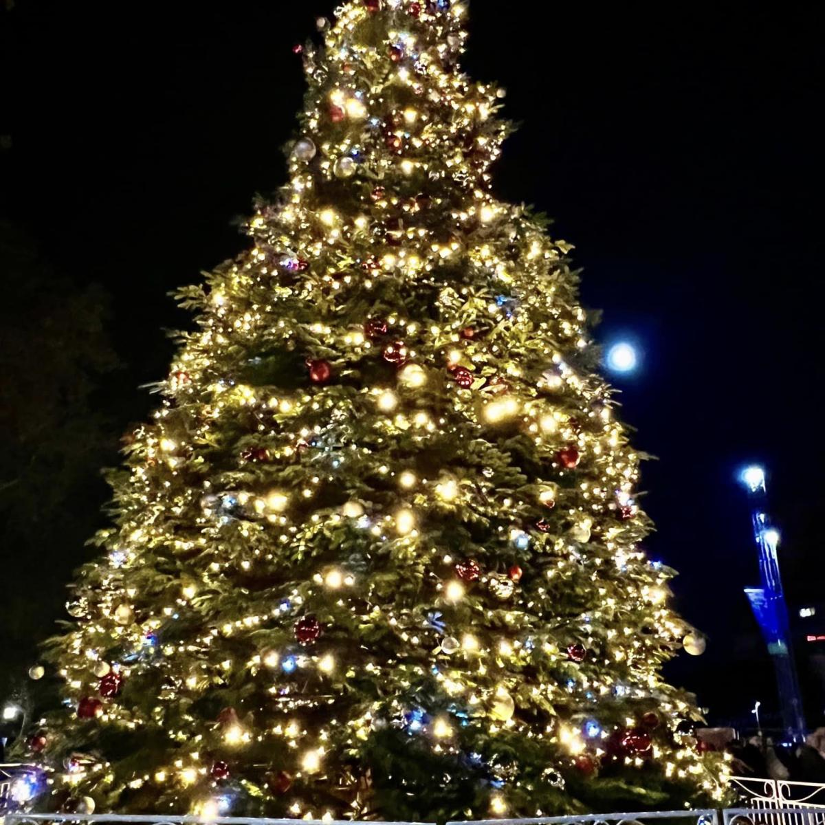 Iluminación y mercado de navidad | Montpellier Turismo