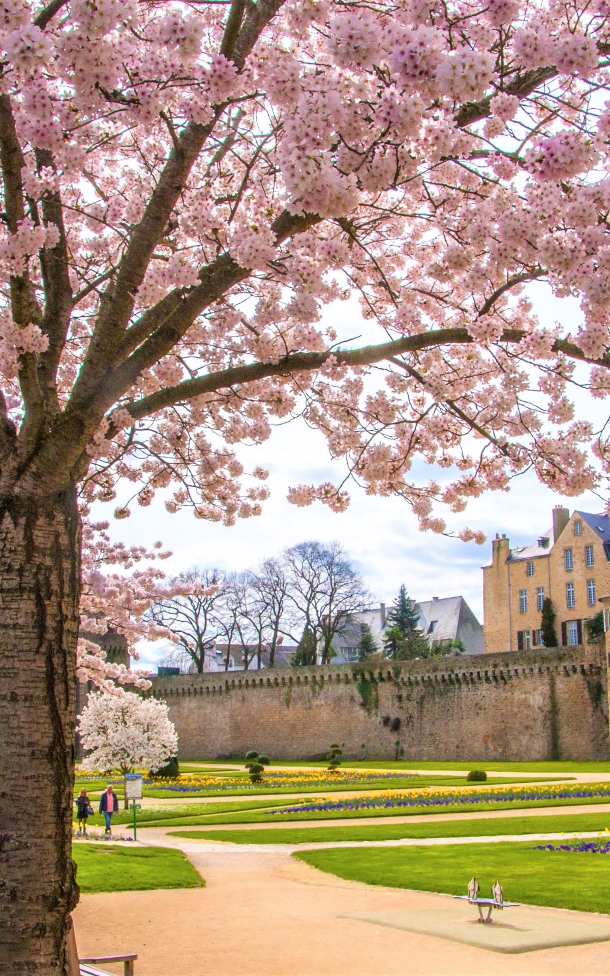 Évasions & Émotions | Tourisme dans le Morbihan