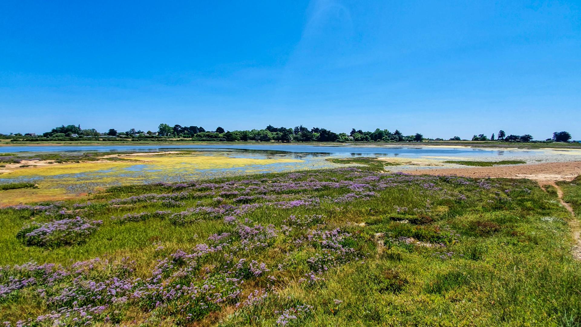 Ile d’Arz, Morbihan : visites, venir, incontournables, plus d’infos ...