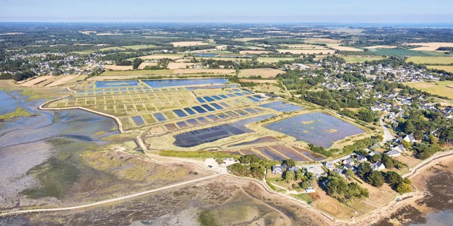 Découverte de la presqu’île de Rhuys à vélo : Les meilleurs circuits ...