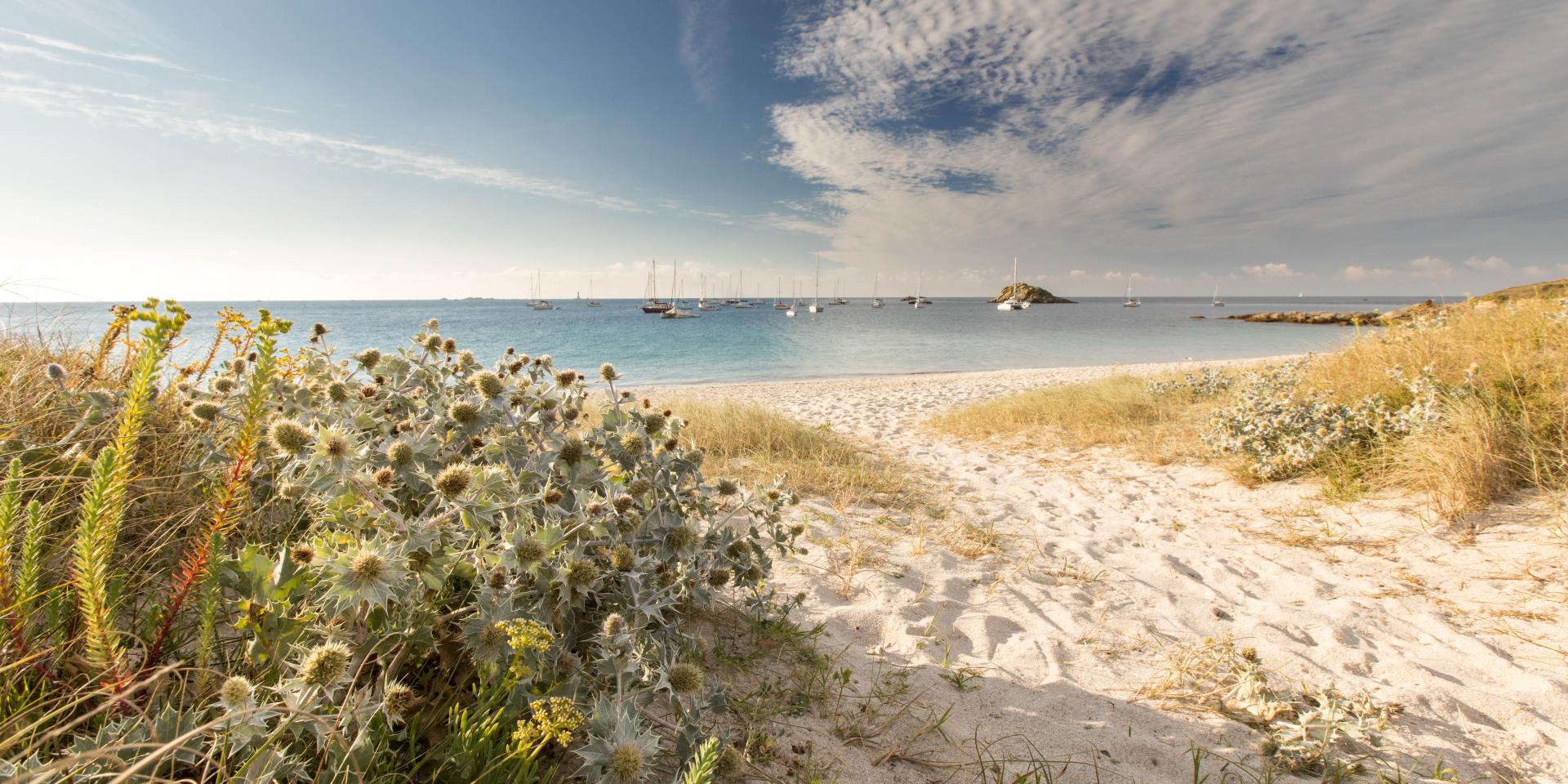 7 raisons de venir visiter les îles du Morbihan Tourisme dans le Morbihan