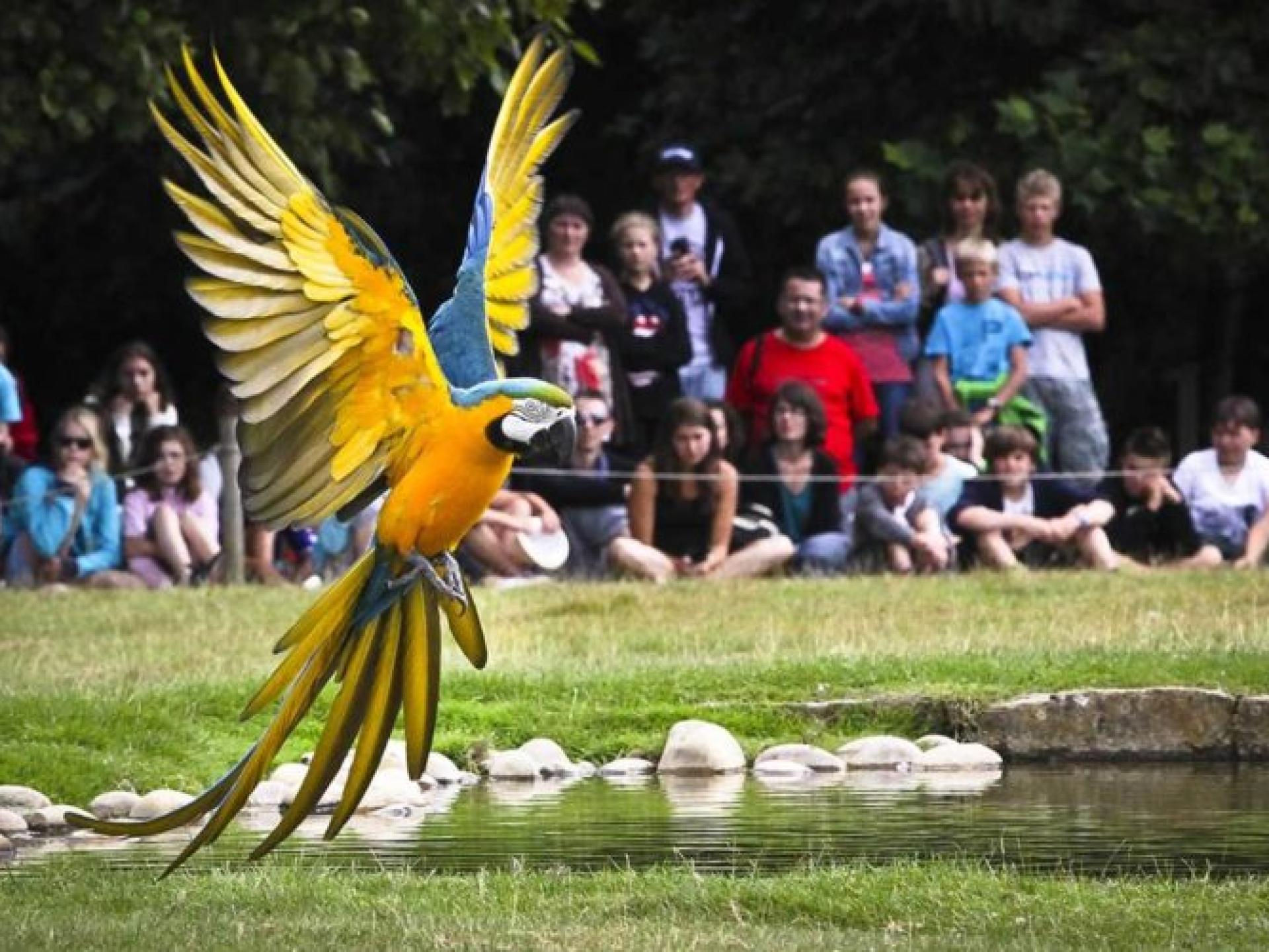 Le Parc Animalier Et Botanique De Branf r Tourisme Dans Le Morbihan