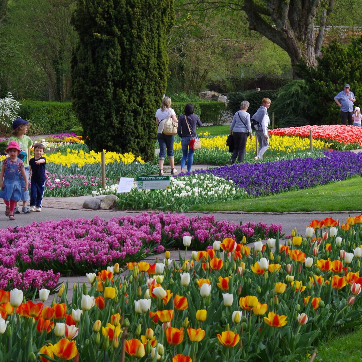 Big Little, parc de loisirs indoor multi-activités (Wittenheim ...