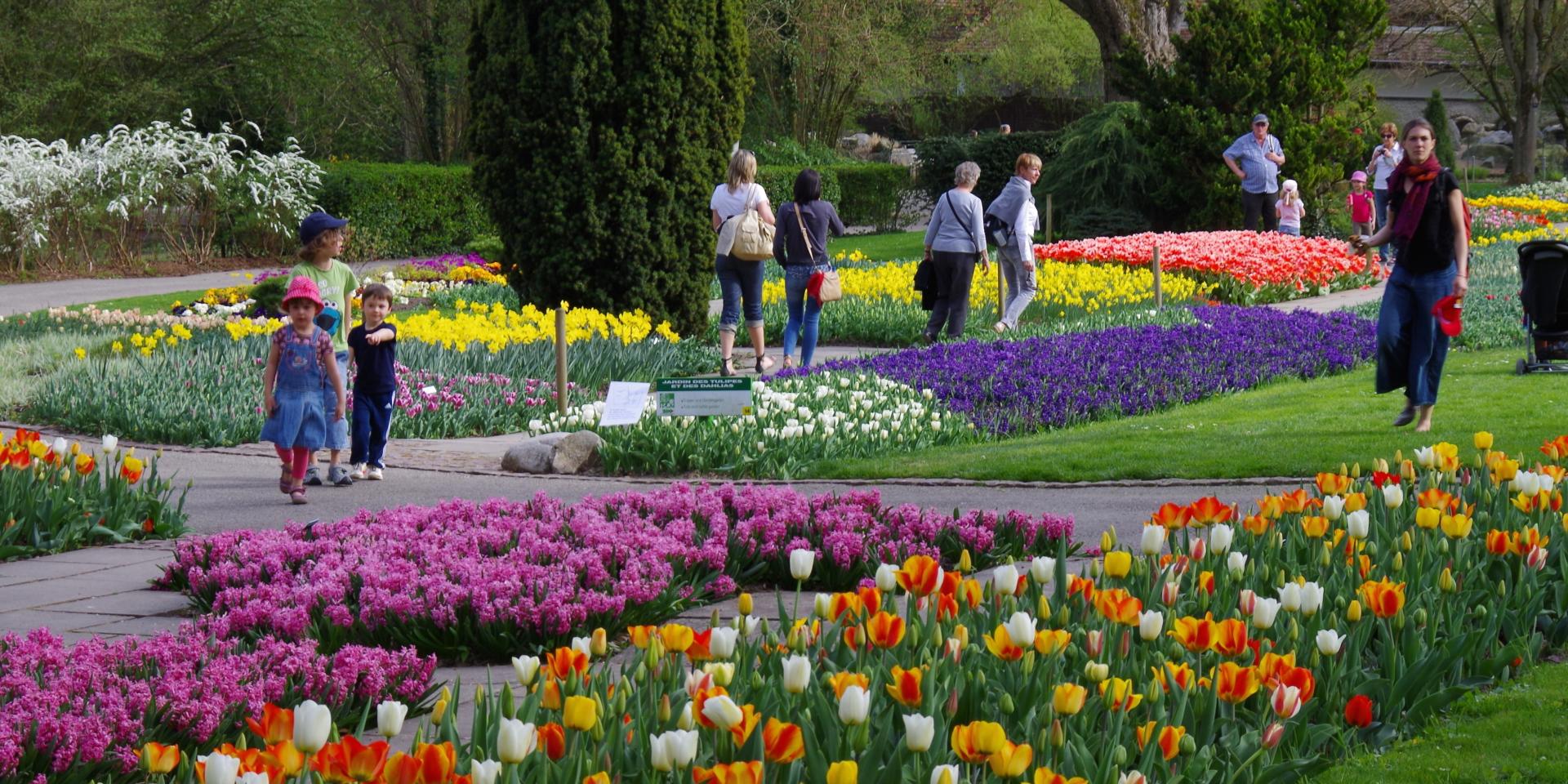 Experiences | Mulhouse Tourist Office