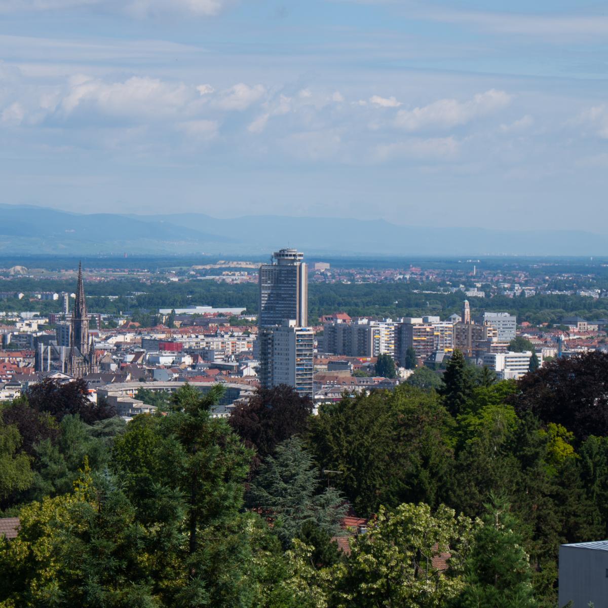 Le Rebberg | Mulhouse Tourisme