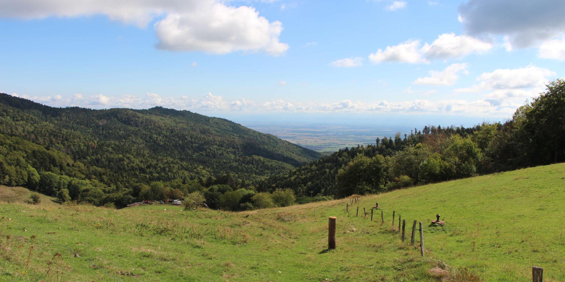 Hiking in the Vosges Mountains | Mulhouse Tourist Office