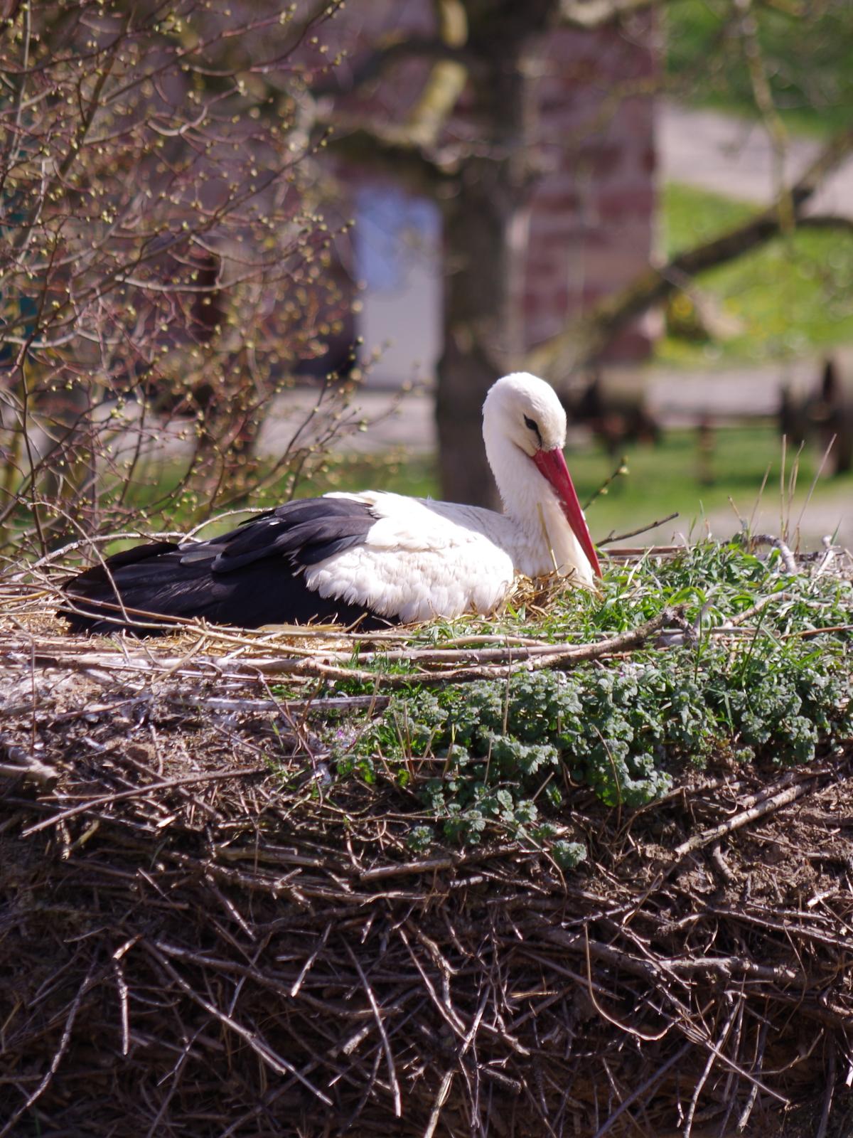 Bienvenue en Alsace !| mulhouse-tourisme
