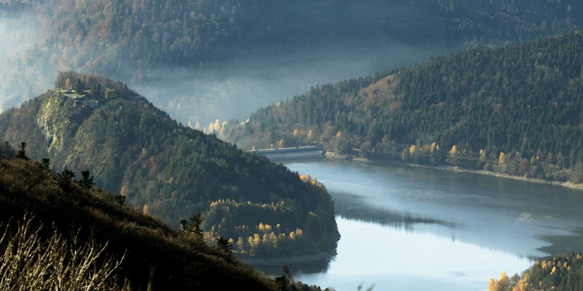 Hiking in the Vosges Mountains | Mulhouse Tourist Office