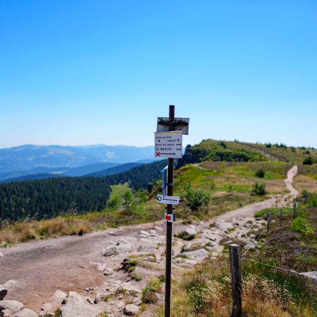 Hiking in the Vosges Mountains | Mulhouse Tourist Office