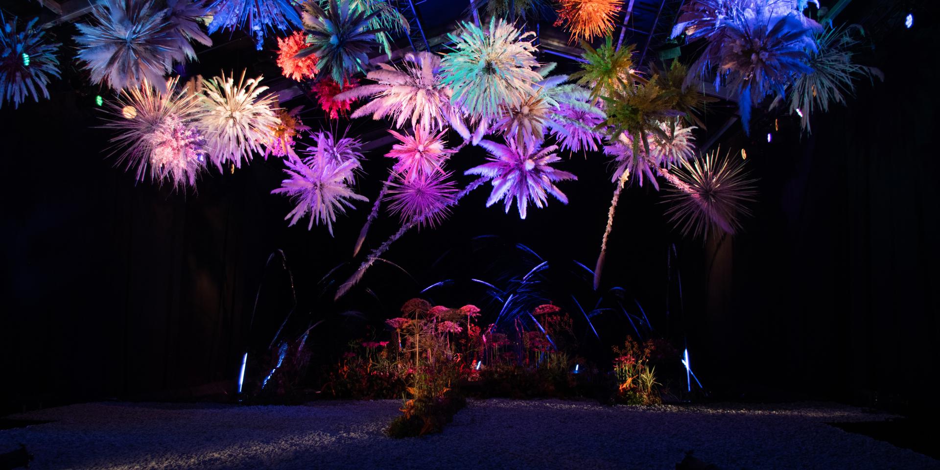 Folie’Flore: flowers, show and emotions | Mulhouse Tourist Office