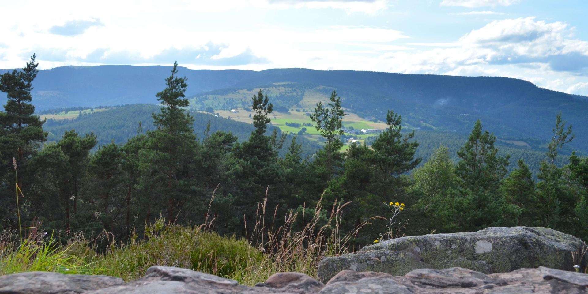 Col du Linge | mulhouse-tourisme