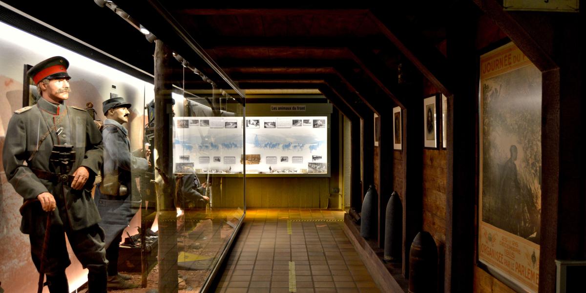 Col du Linge | mulhouse-tourisme