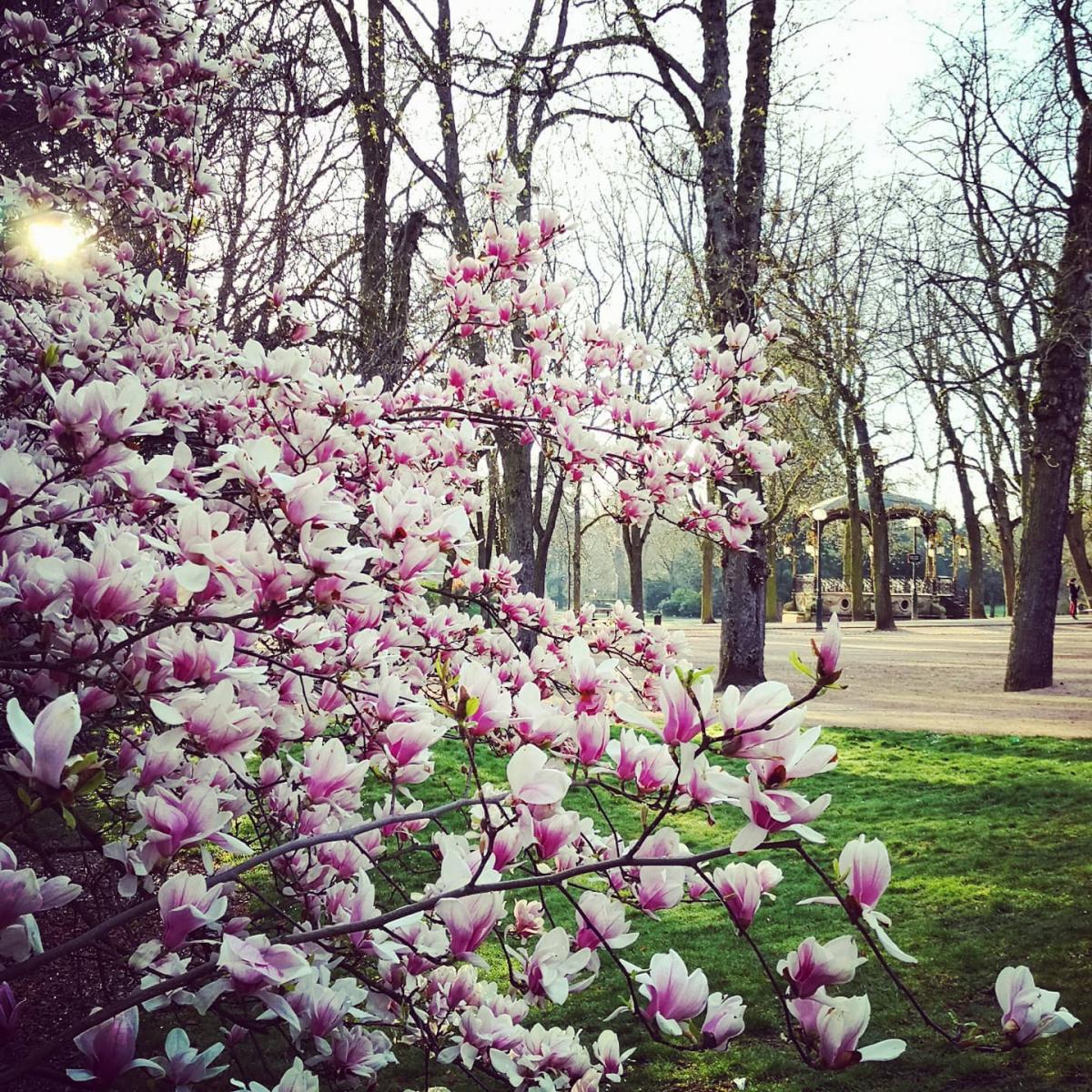 Nancy, stad van de hertogen van Lorraine | Nancy Tourisme