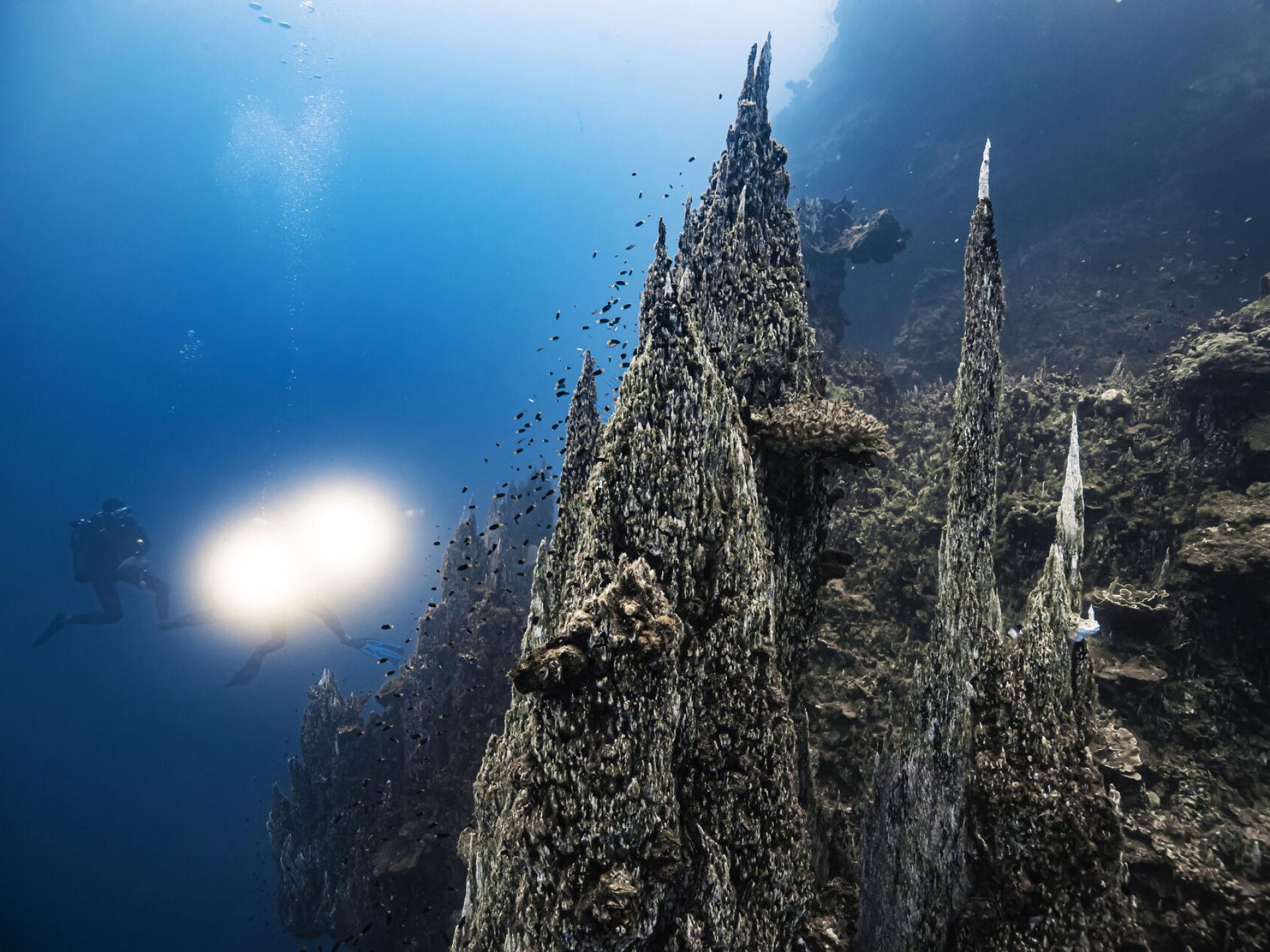 Explore the Underwater World – Diving in New Caledonia