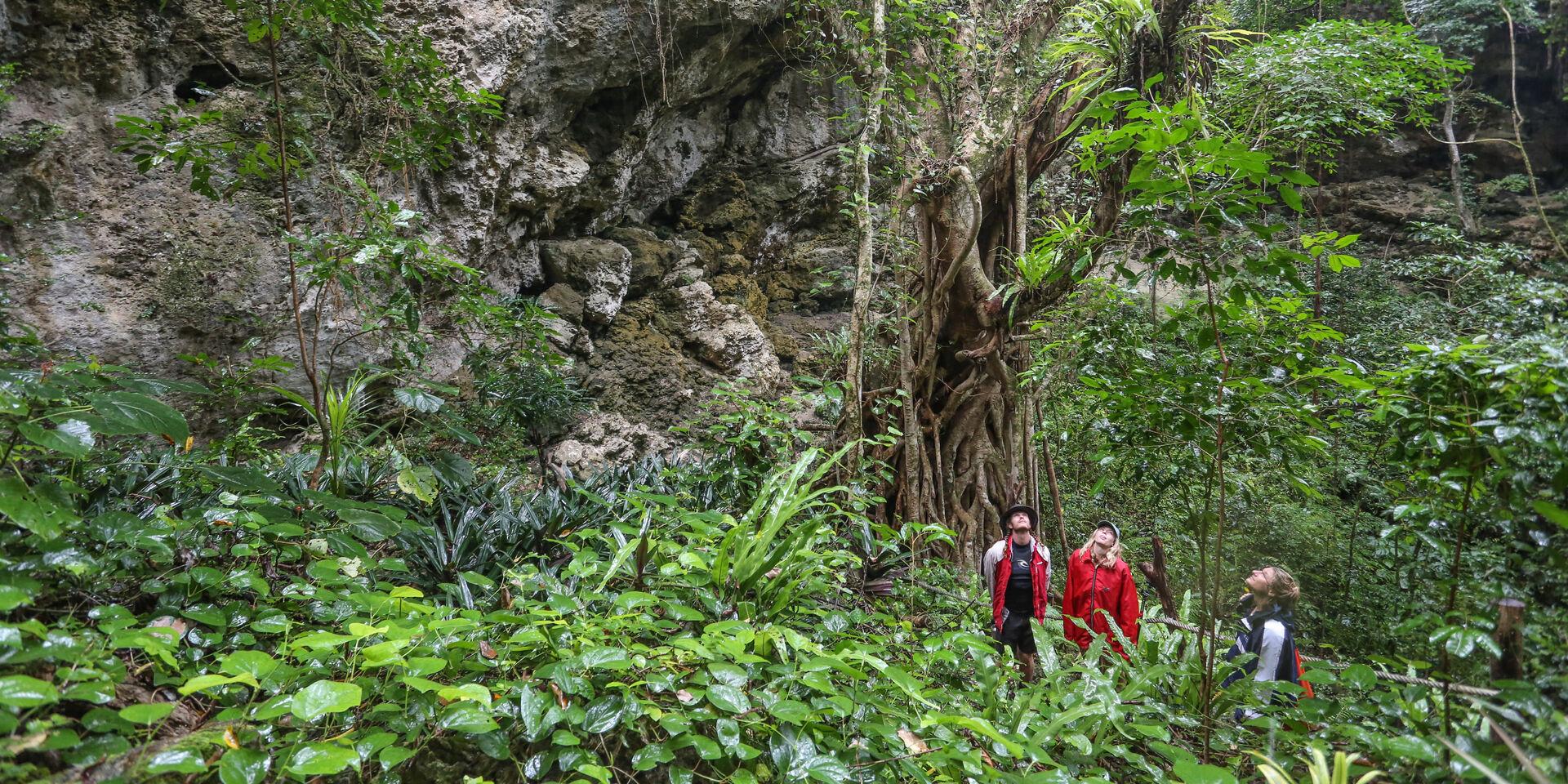 Luengöni beach and caves in Lifou | New Caledonia Tourism: The official ...