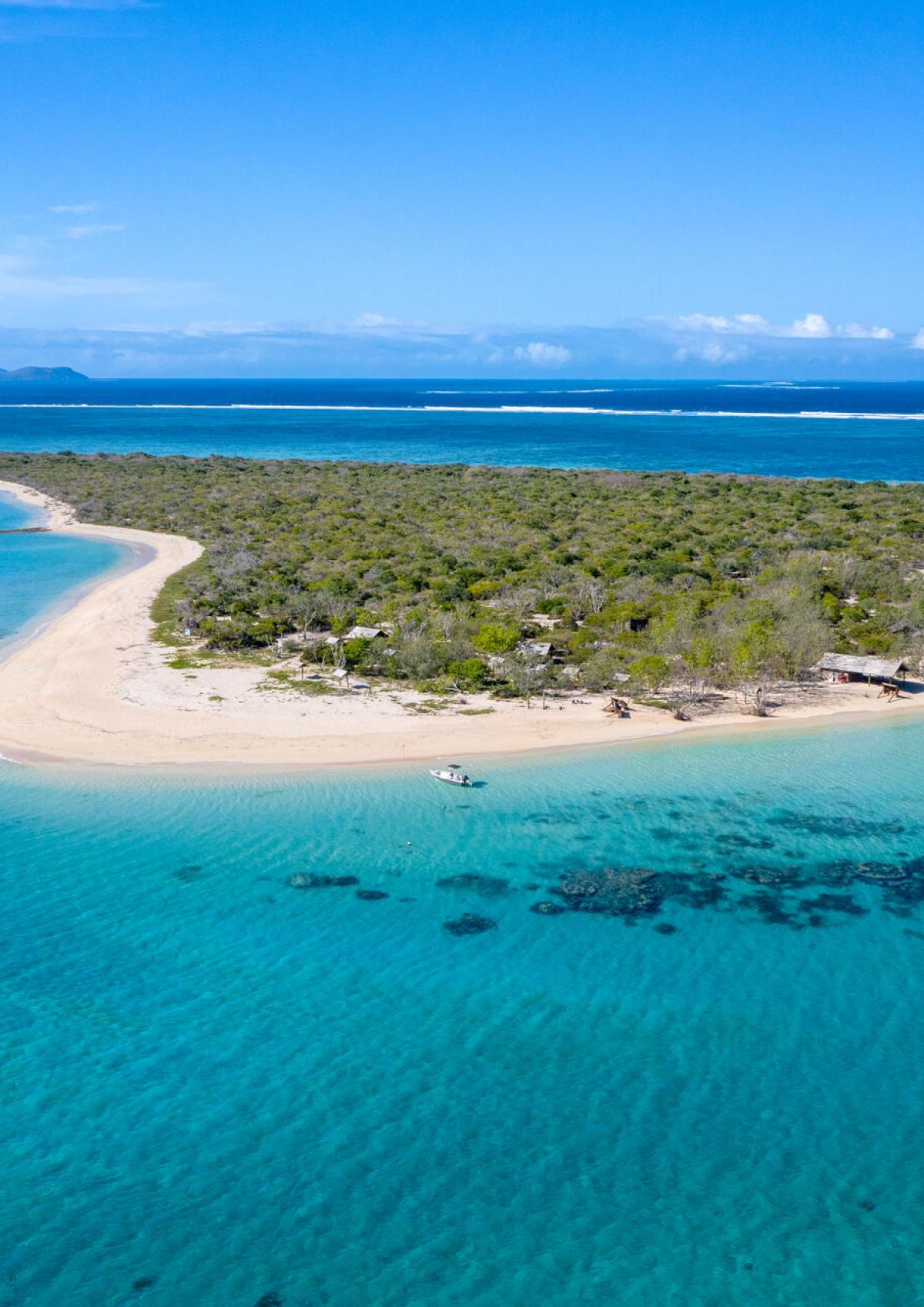 Emblematic animals of New Caledonia | New Caledonia Tourism: The ...