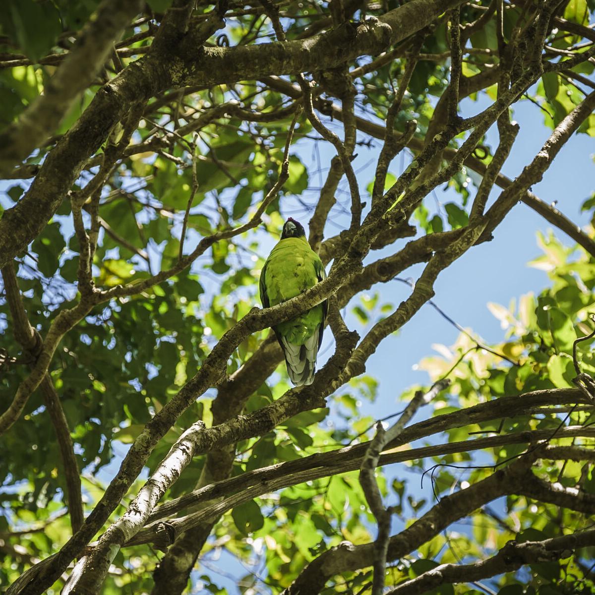 16-Day Family Adventure in New Caledonia