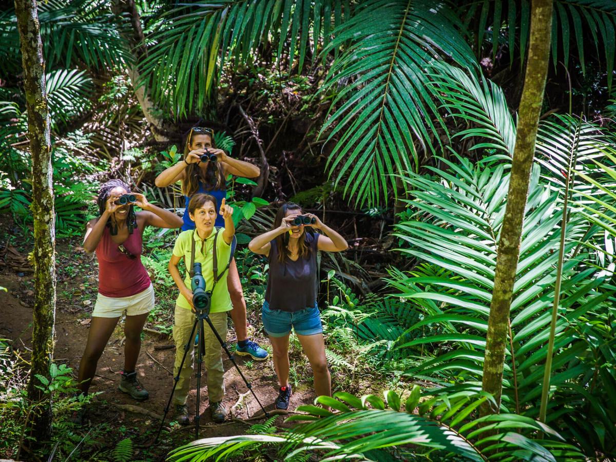 Exploring New Caledonia’s Nature Parks: Preserving Biodiversity | New ...