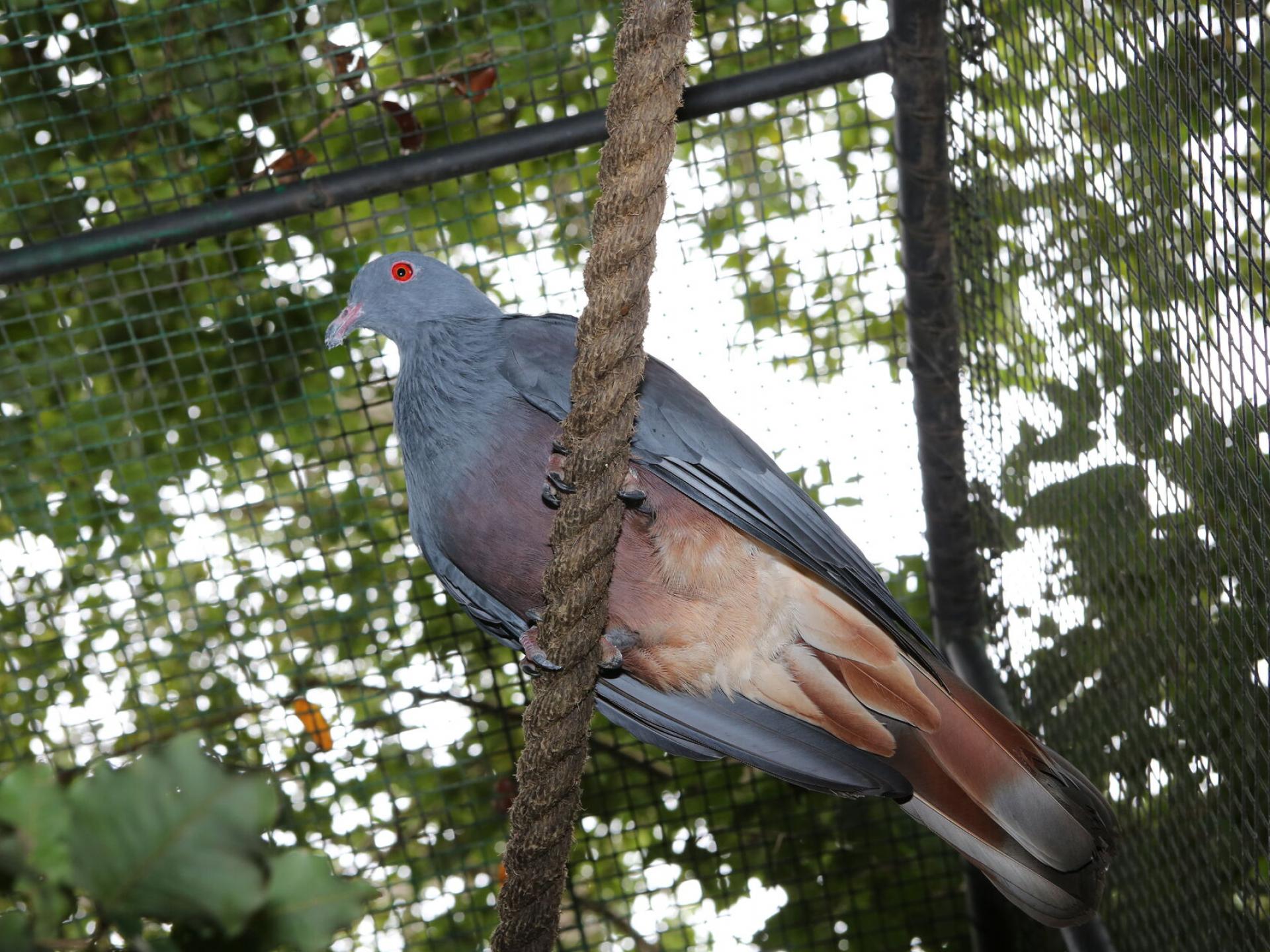 Itinéraire authentique en Nouvelle-Calédonie | Nouvelle-Calédonie ...