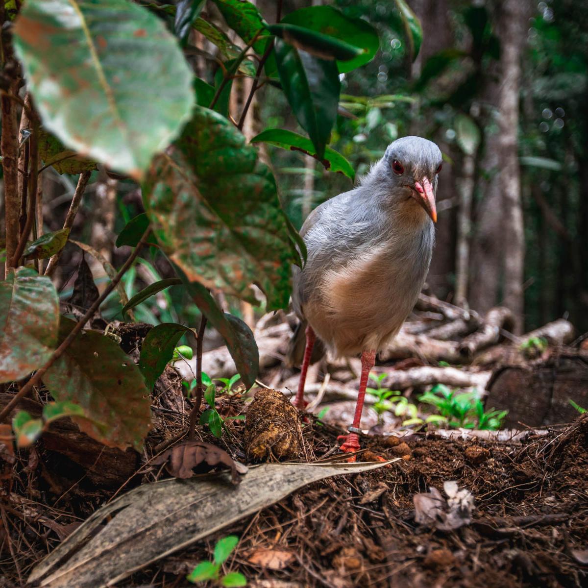 Voyager en famille en Nouvelle-Calédonie