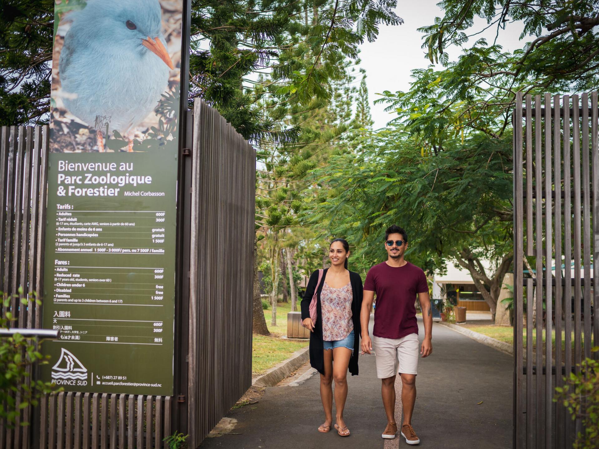 Discover Nouméa’s Top Experiences and Activities