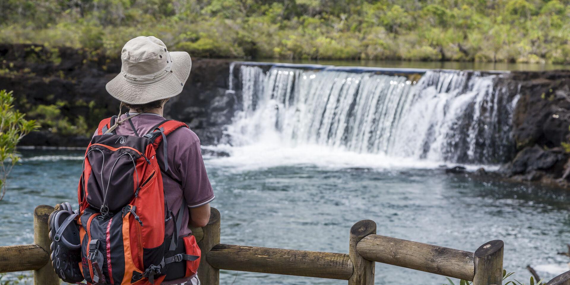 Visiter le Parc Provincial de la Rivière Bleue | Nouvelle-Calédonie ...