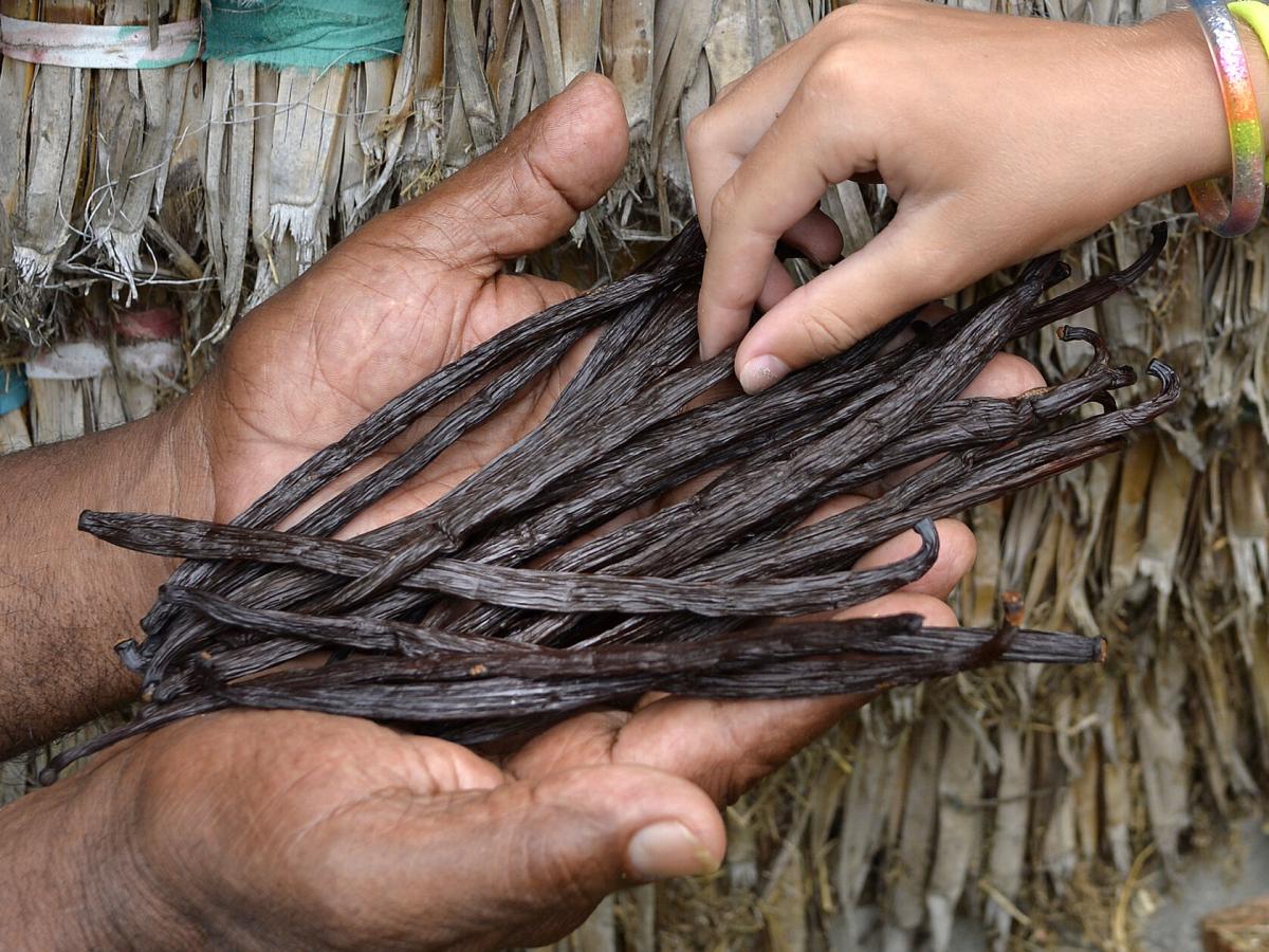 10 choses à faire à Lifou | Nouvelle-Calédonie Tourisme : Le site ...