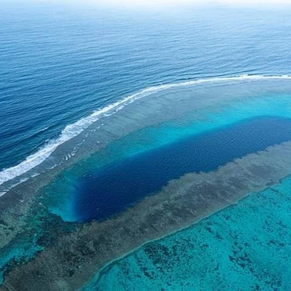 Explore the Heart of Voh: A Natural Wonder in New Caledonia