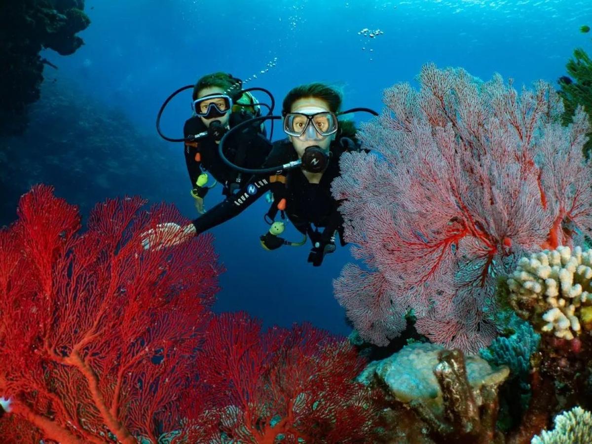 Top des choses à faire à Hienghène | Nouvelle-Calédonie Tourisme : Le ...