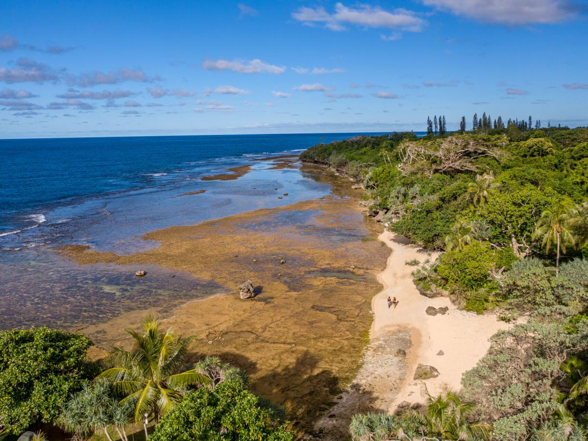 13 best things to do in Yaté | New Caledonia Tourism: The official ...