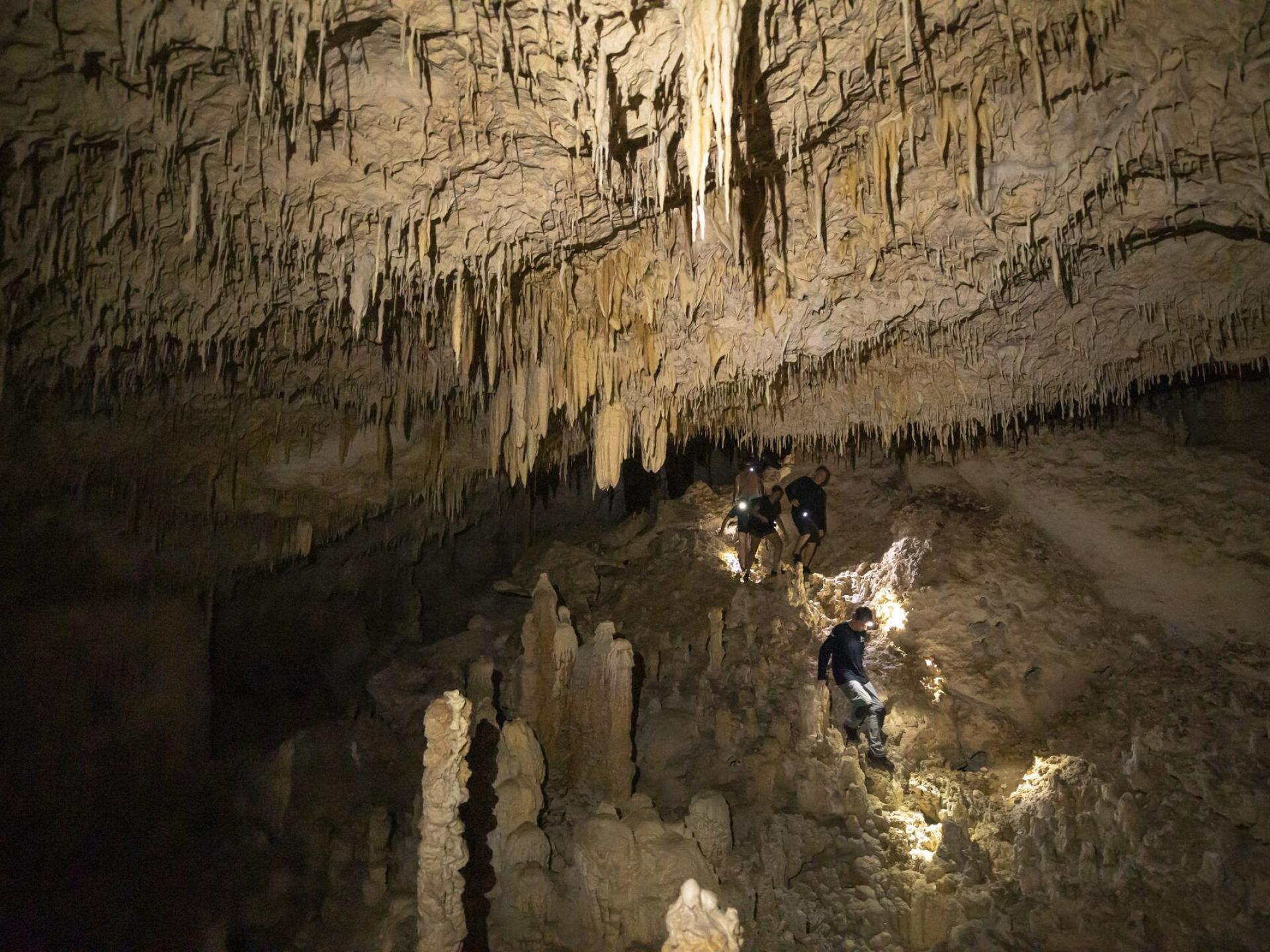 Explore Lifou Island: Top 10 Must-See and Do Experiences | New ...