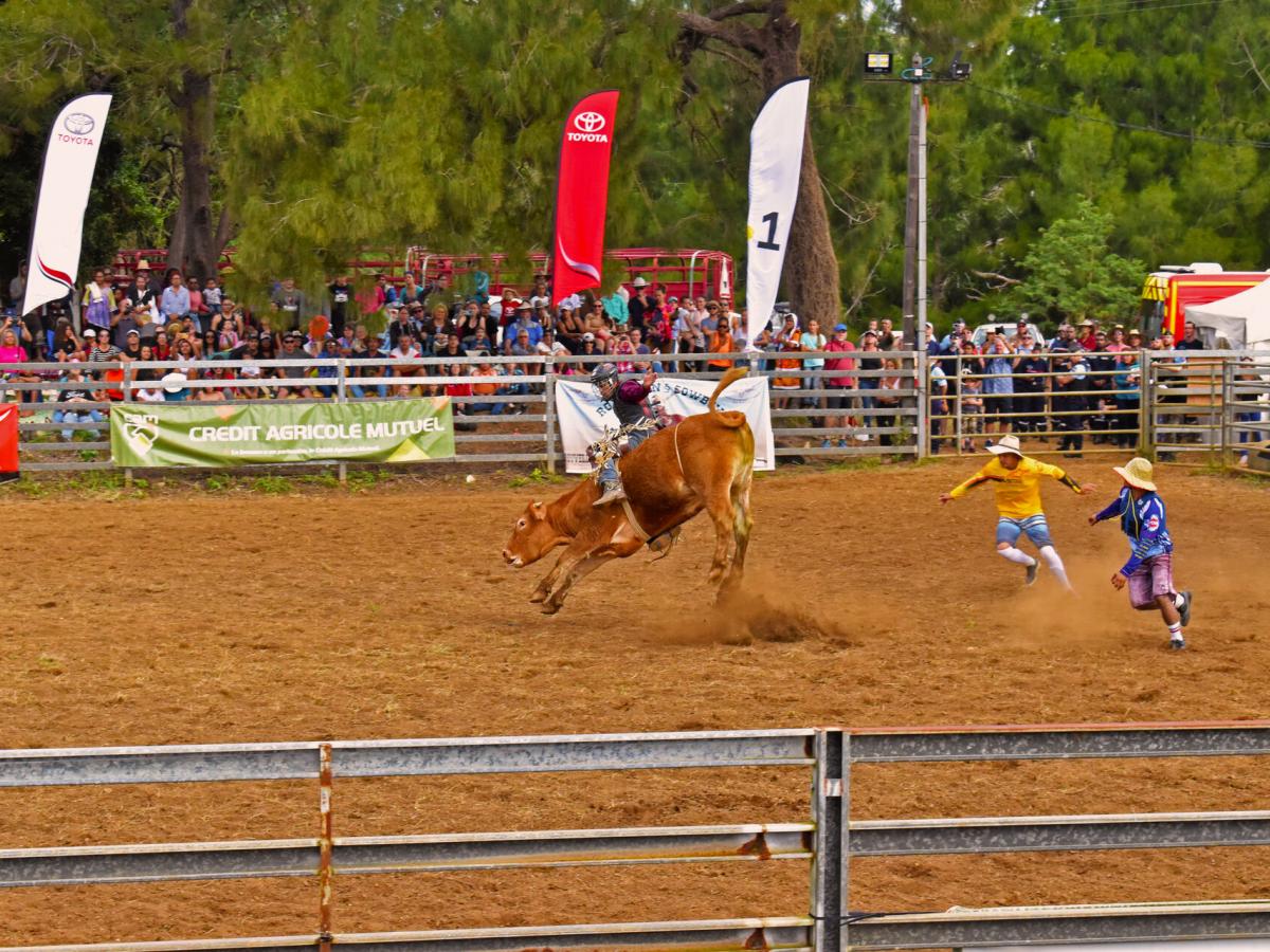 50 Unforgettable Experiences in New Caledonia: Your Ultimate Guide