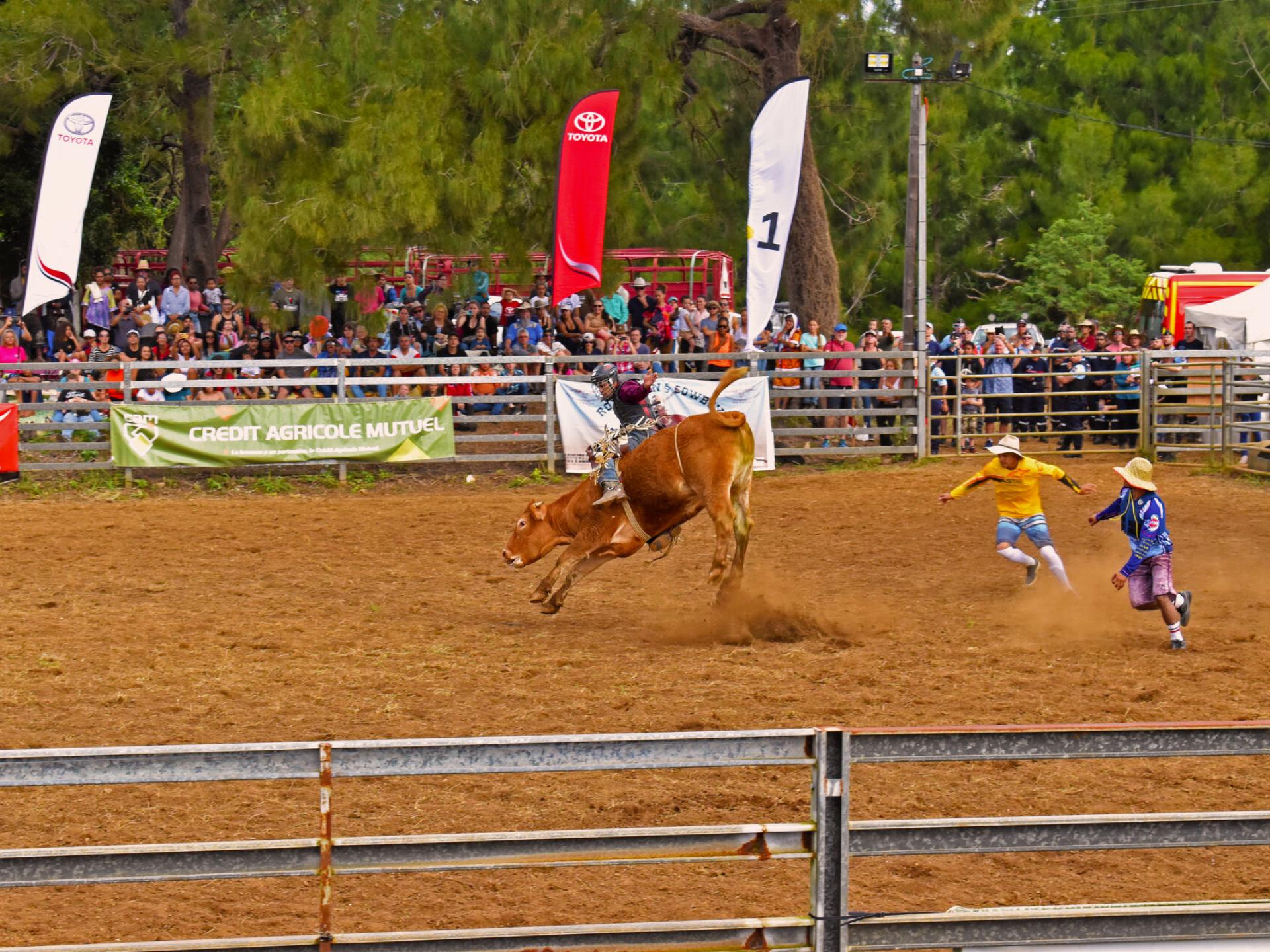 50 Unforgettable Experiences in New Caledonia: Your Ultimate Guide