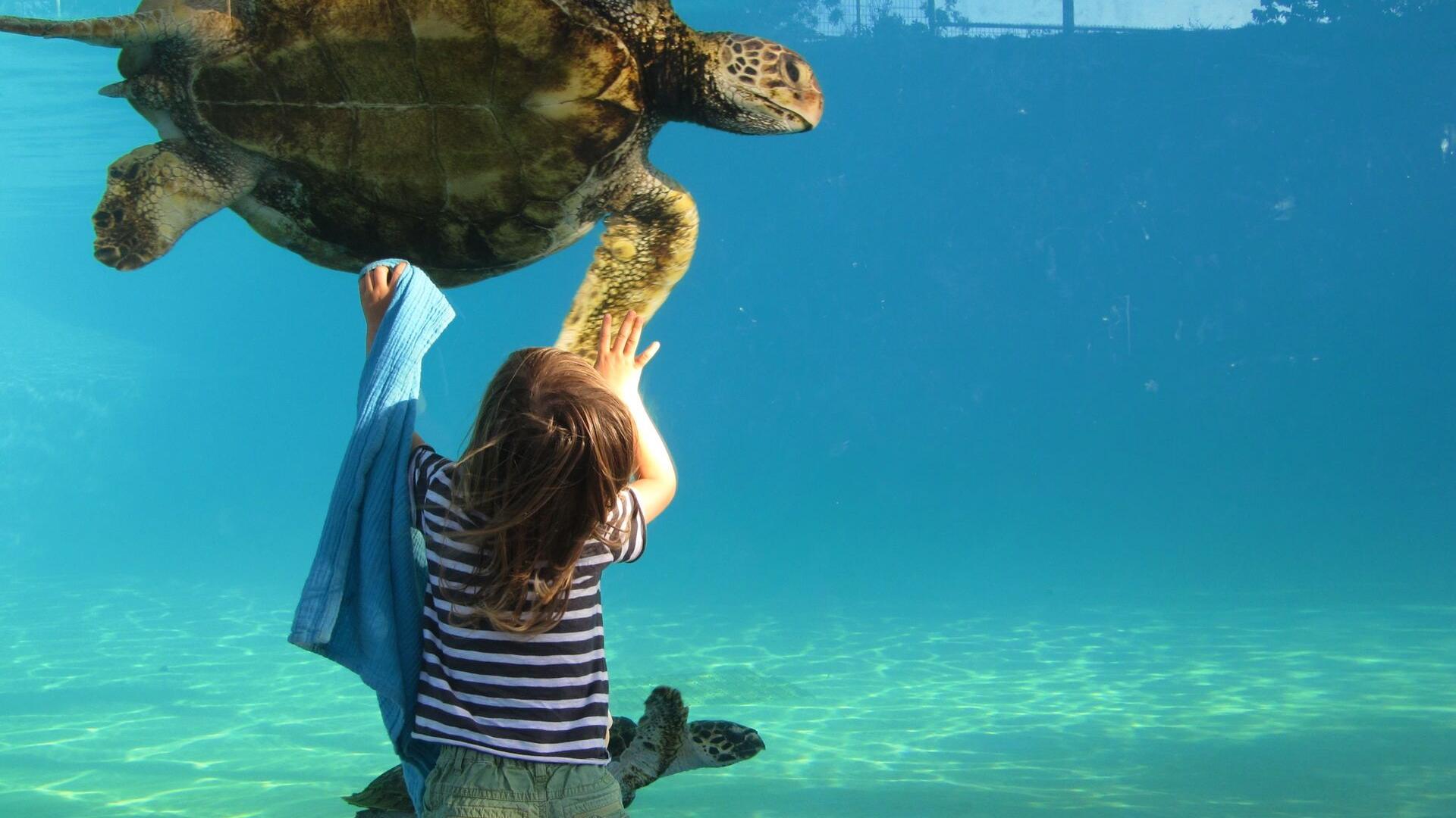 Visiter l’Aquarium des Lagons à Nouméa | Nouvelle-Calédonie Tourisme : Le site officiel du ...