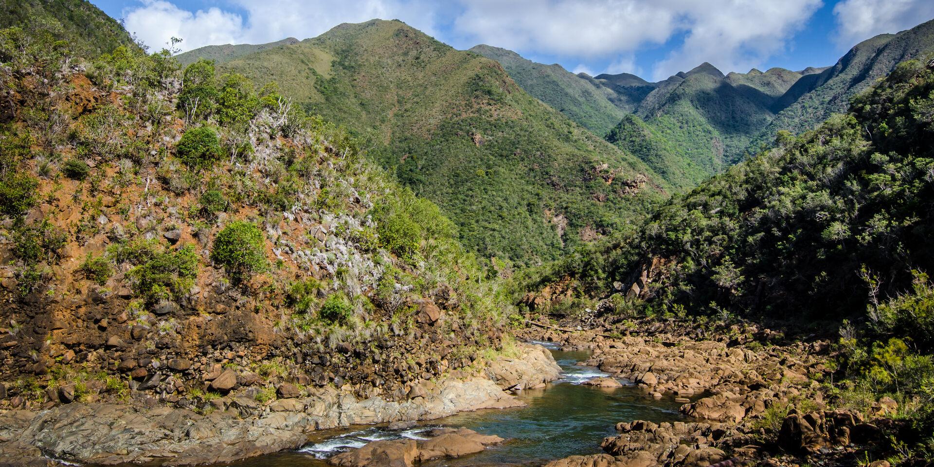 Explore the Best Hiking Trails in New Caledonia | New Caledonia Tourism ...